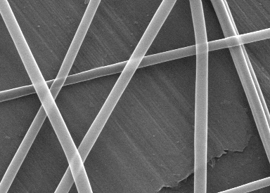 hio Object Detection Dataset and Pre-Trained Model by new-workspace-niza3