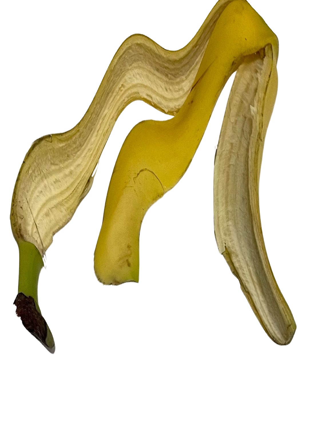 Waste Separation Classification Dataset by Intelligent Waste Separator