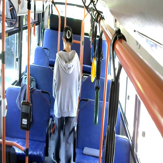 Object Detection In Public Vehicles Object Detection Dataset By