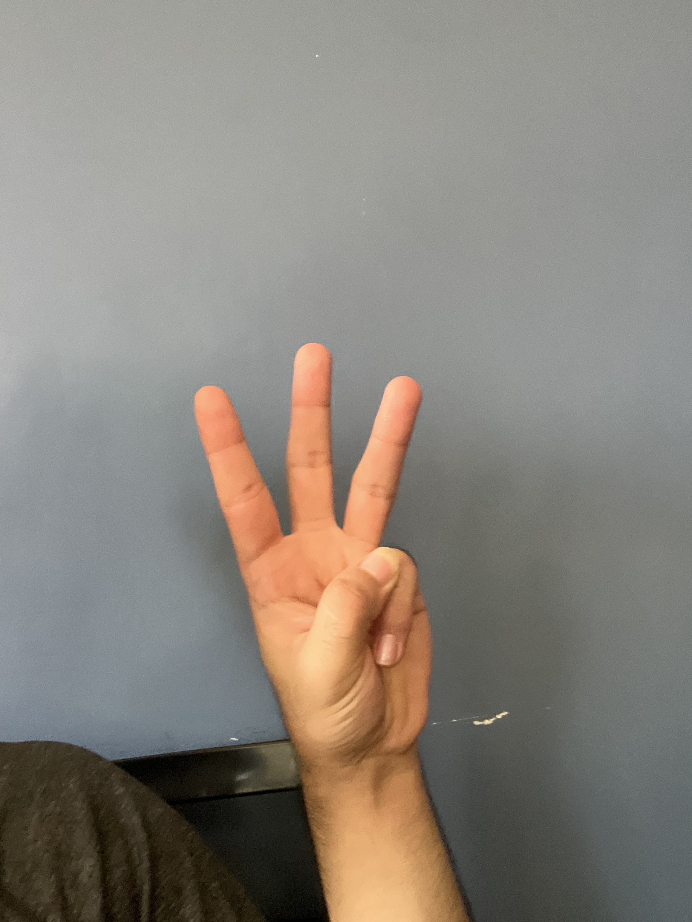 LESHO 60 imagenes Object Detection Model by m