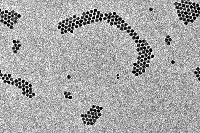 Danny Yang (danny-yang-m3zbs) - Roboflow Universe