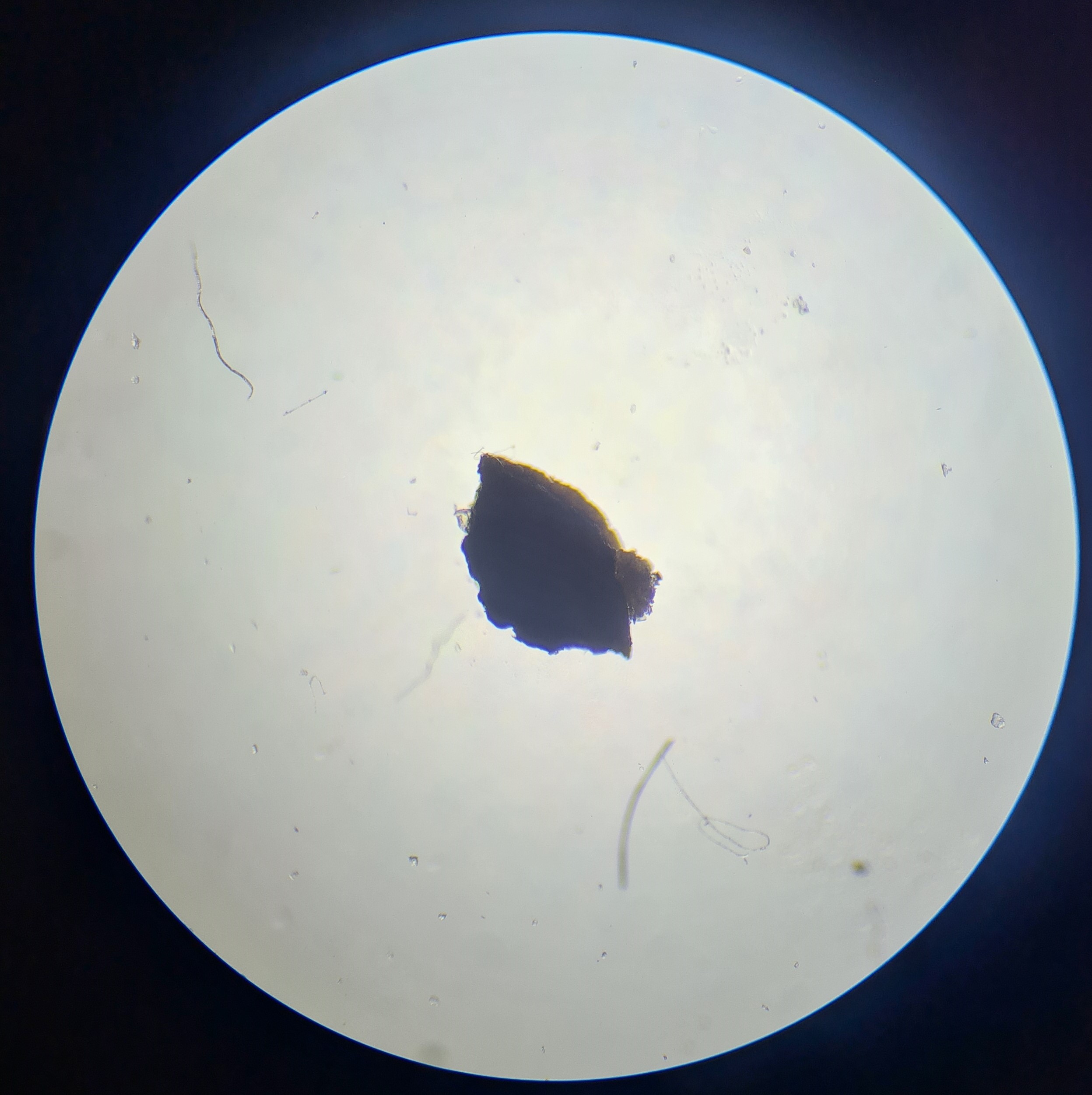 microplastic Object Detection Dataset by Ruhad