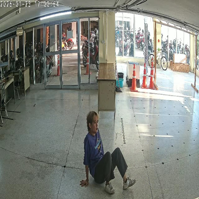 fallingpeopleV2 Object Detection Dataset by new-workspace-njt1f
