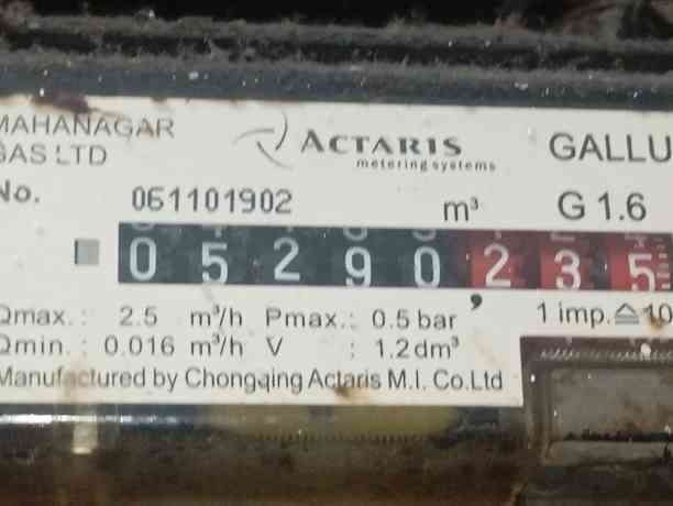 Actaris-annotation Object Detection Dataset by Test