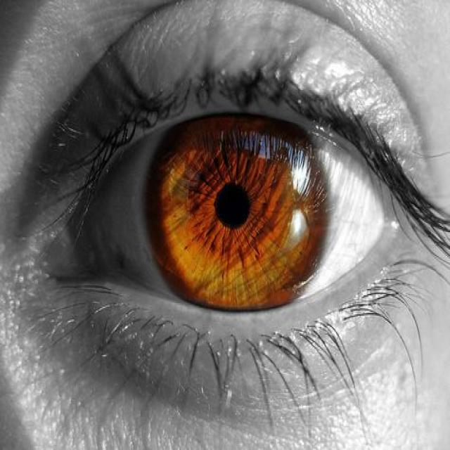 eye Object Detection Dataset by saban