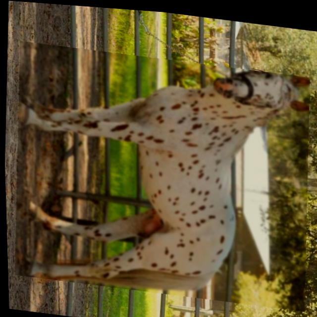 horse Object Detection Dataset by saban