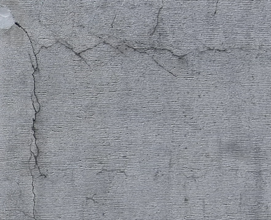 Vicky Object Detection Dataset by Vicky