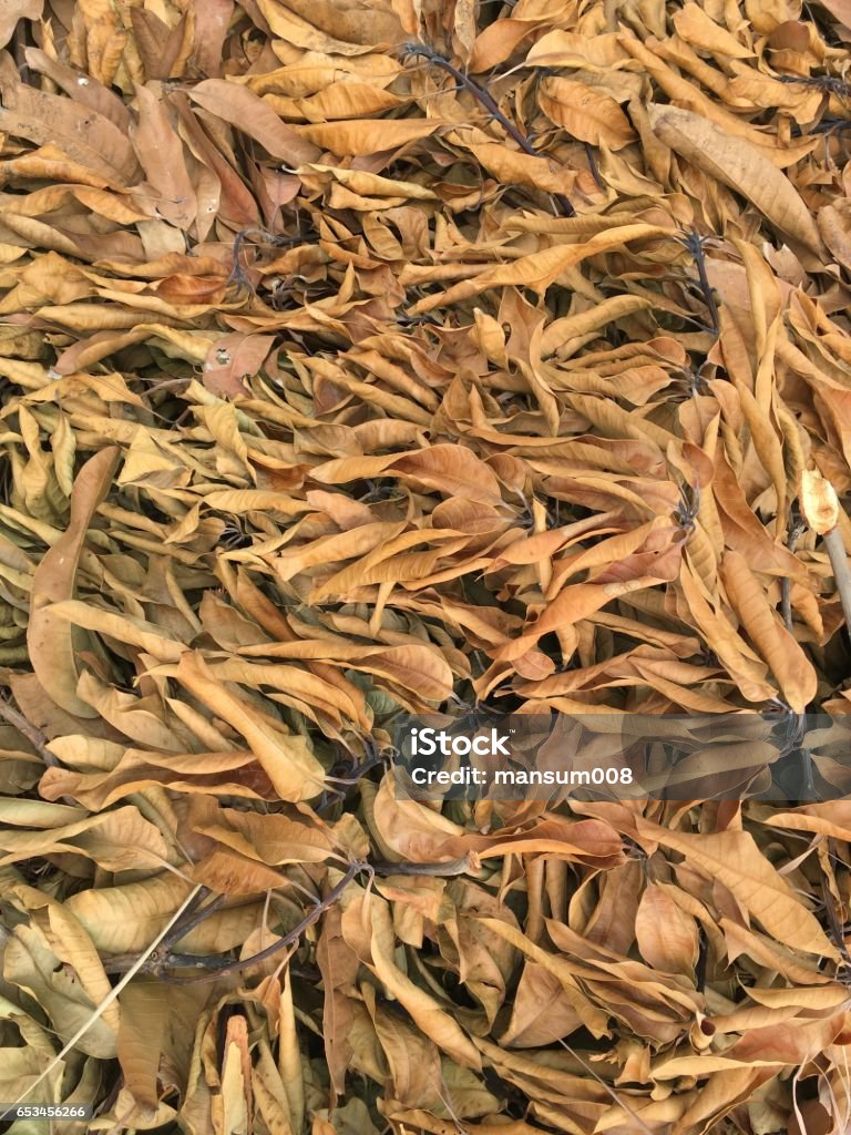 How to Use the Zenith Machine Learning Object Detection API