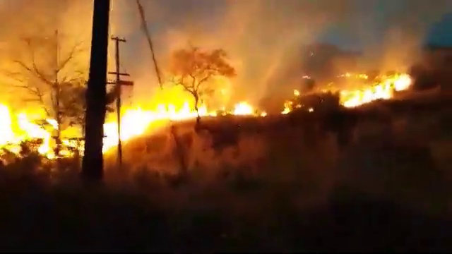 Himus Workspace Roboflow Universe