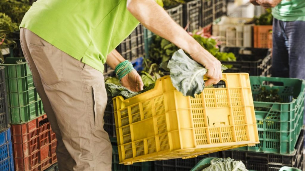 smartfarm_basket Object Detection Dataset by Fruit assessment 2