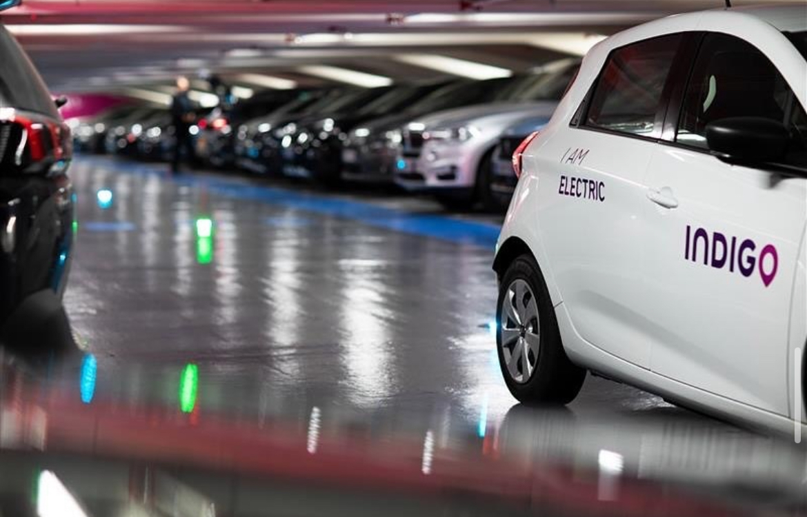 indigo_segmentation Object Detection Dataset by indigosegmentation