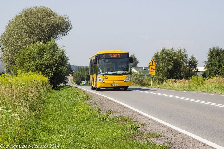 bus_photos Object Detection Model by Zatoichi