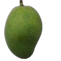 HuyTran (huytran-uhbzz) - Roboflow Universe