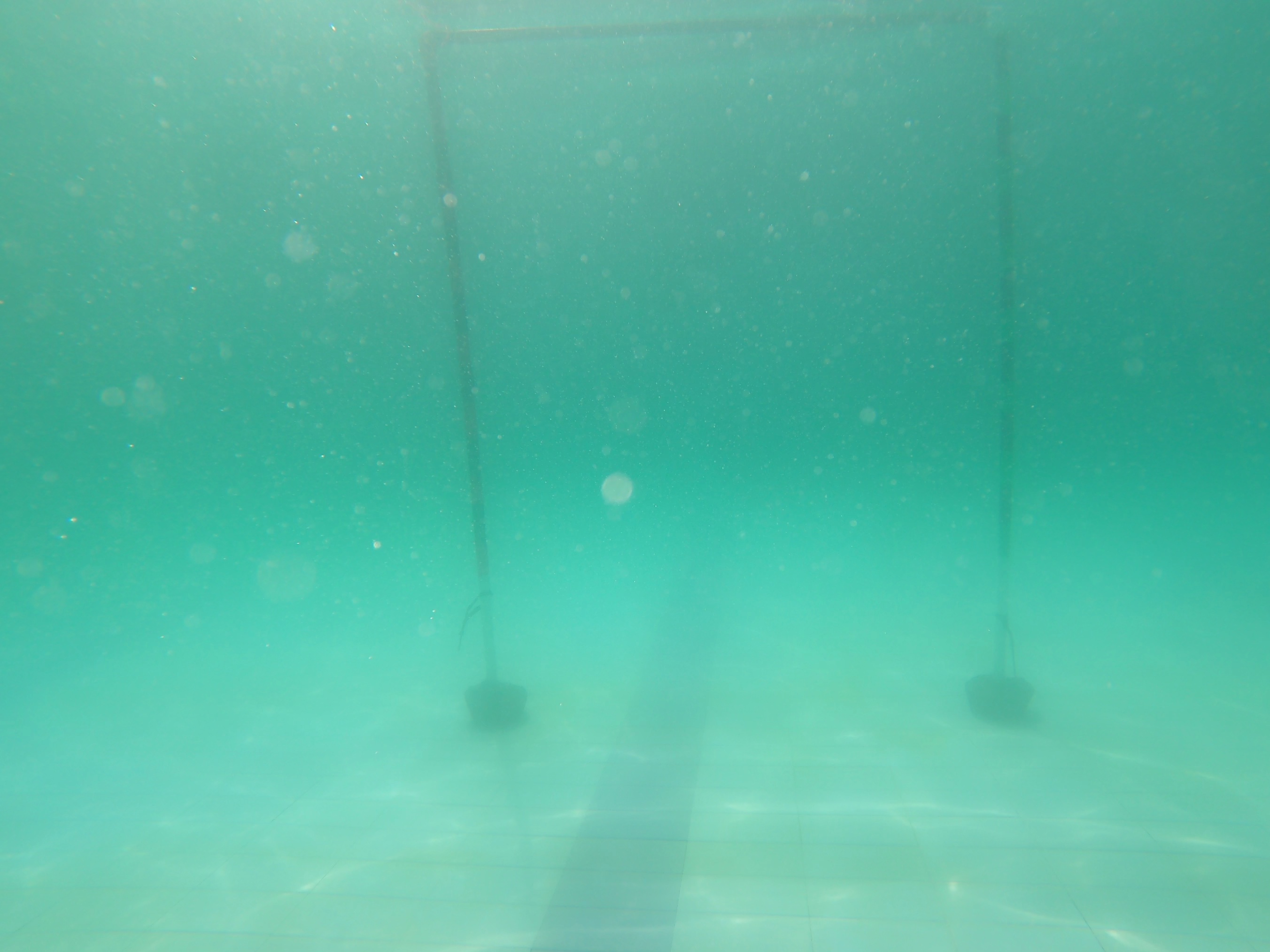 Underwater Object Detection Object Detection Model by uod