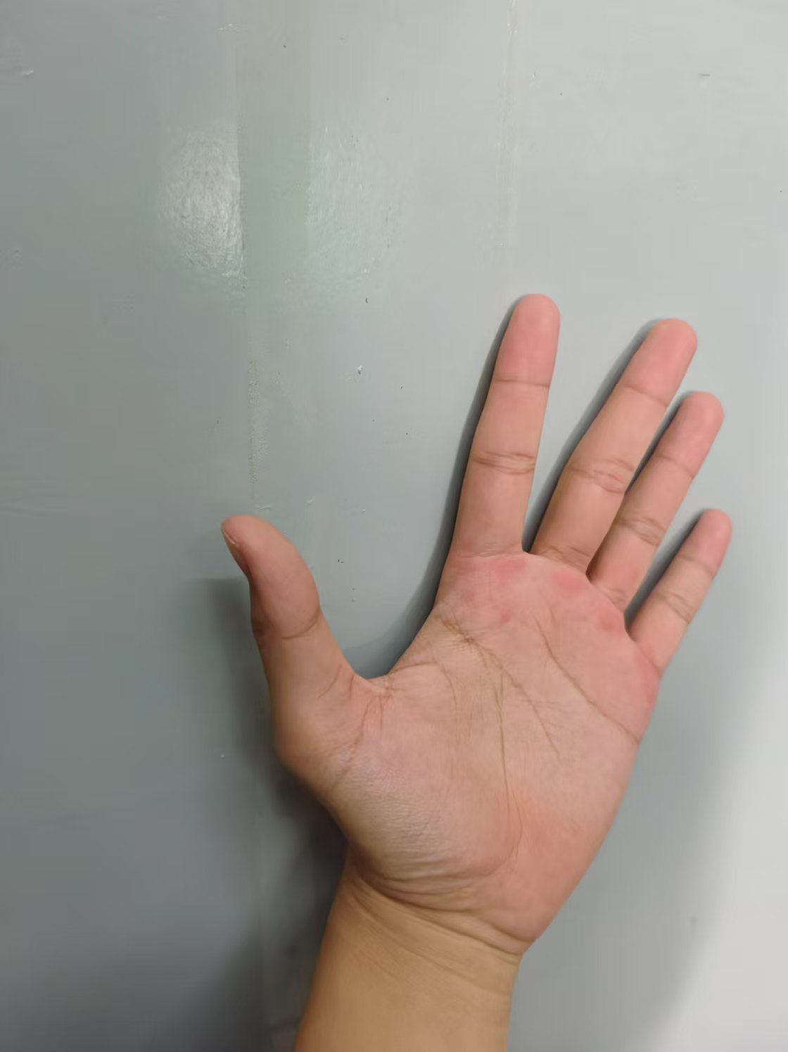 hand Object Detection Dataset by pillow