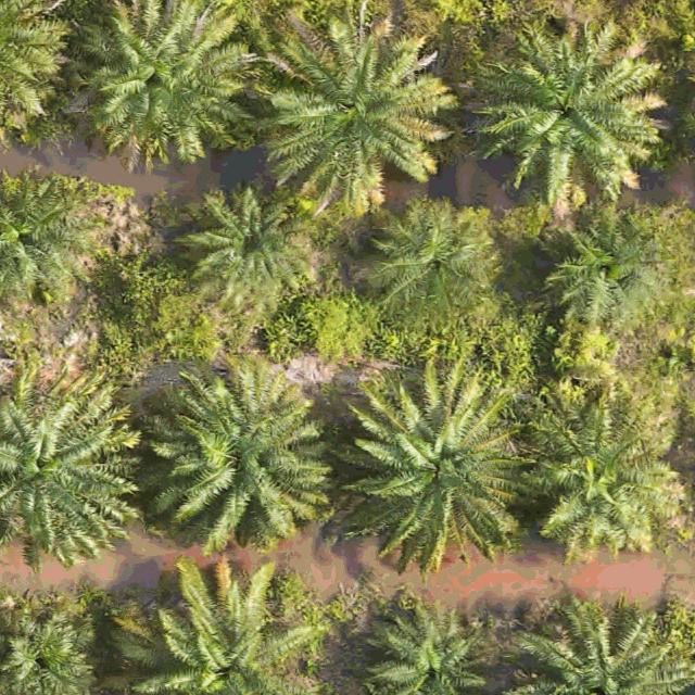 Object Detection Object Detection Dataset and Pre-Trained Model by ...