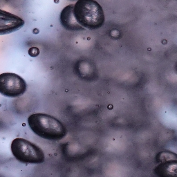 finding_bubbles Instance Segmentation Dataset and Pre-Trained Model by daniil