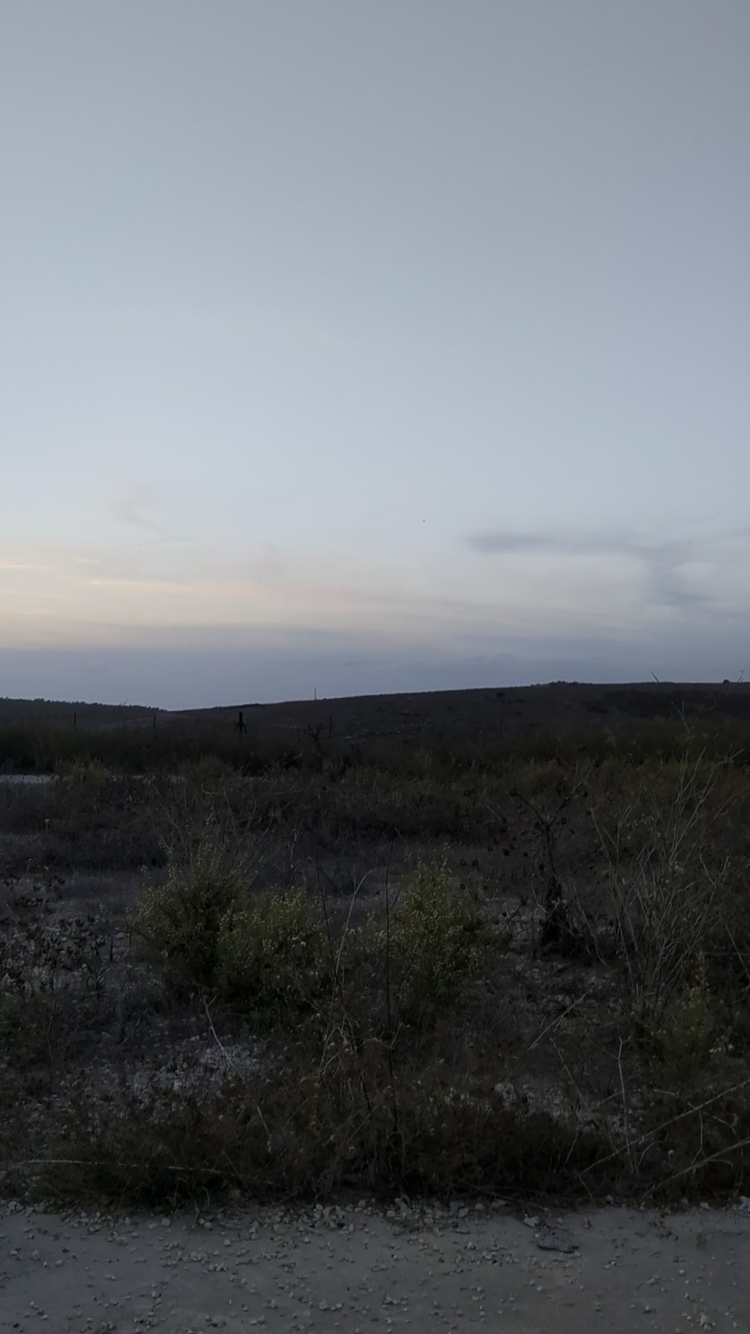 part 1 Object Detection Dataset by Dan Unter