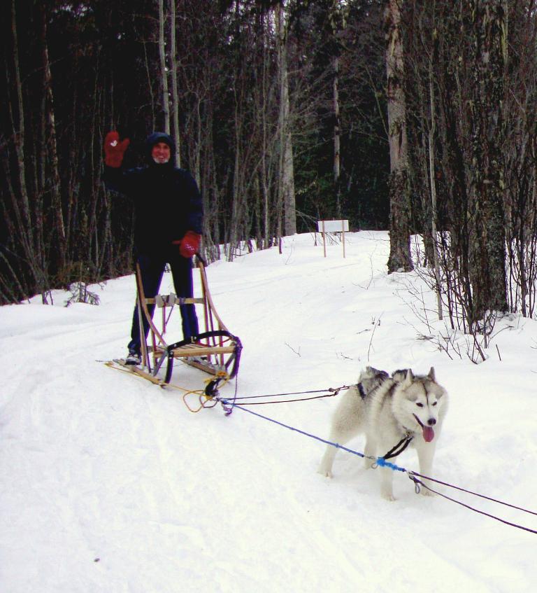 Dog Detection Object Detection Dataset by OIDv4 to Yolov8