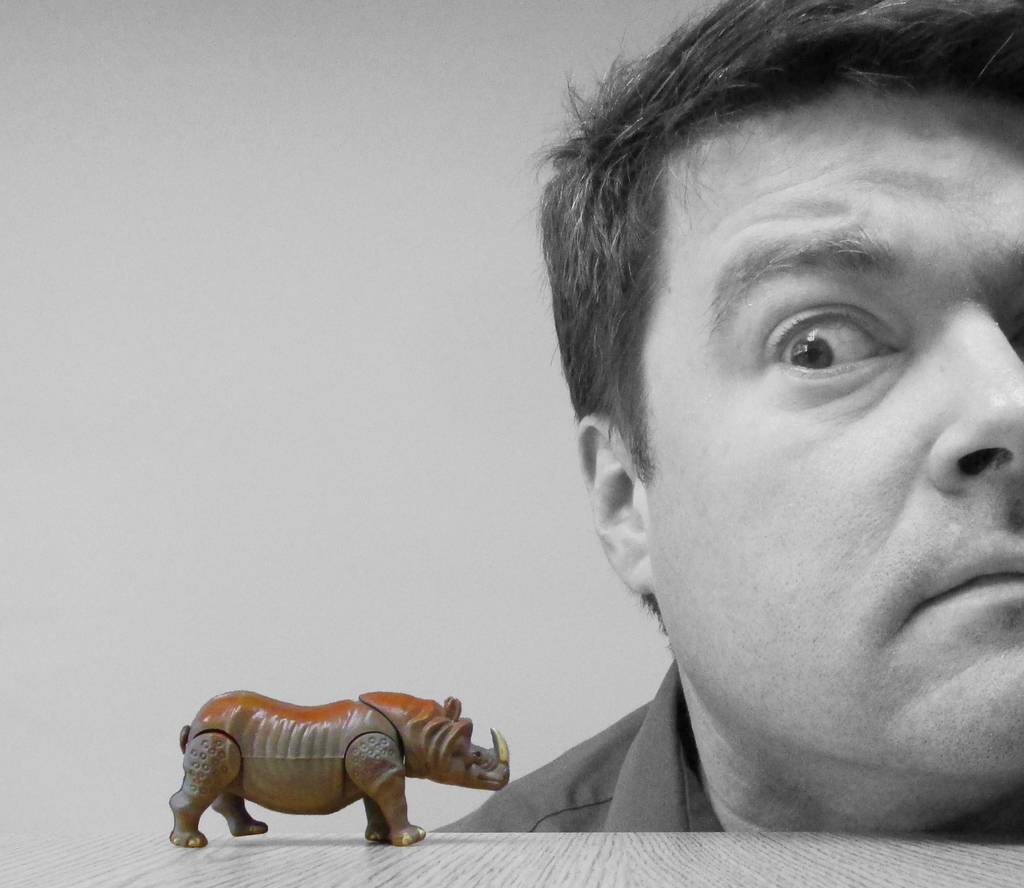 Rhino Detection Object Detection Dataset by OIDv4 to Yolov8