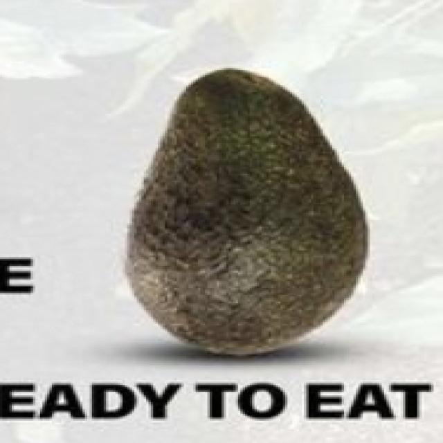 Avocados Detection Object Detection Dataset by Avocados