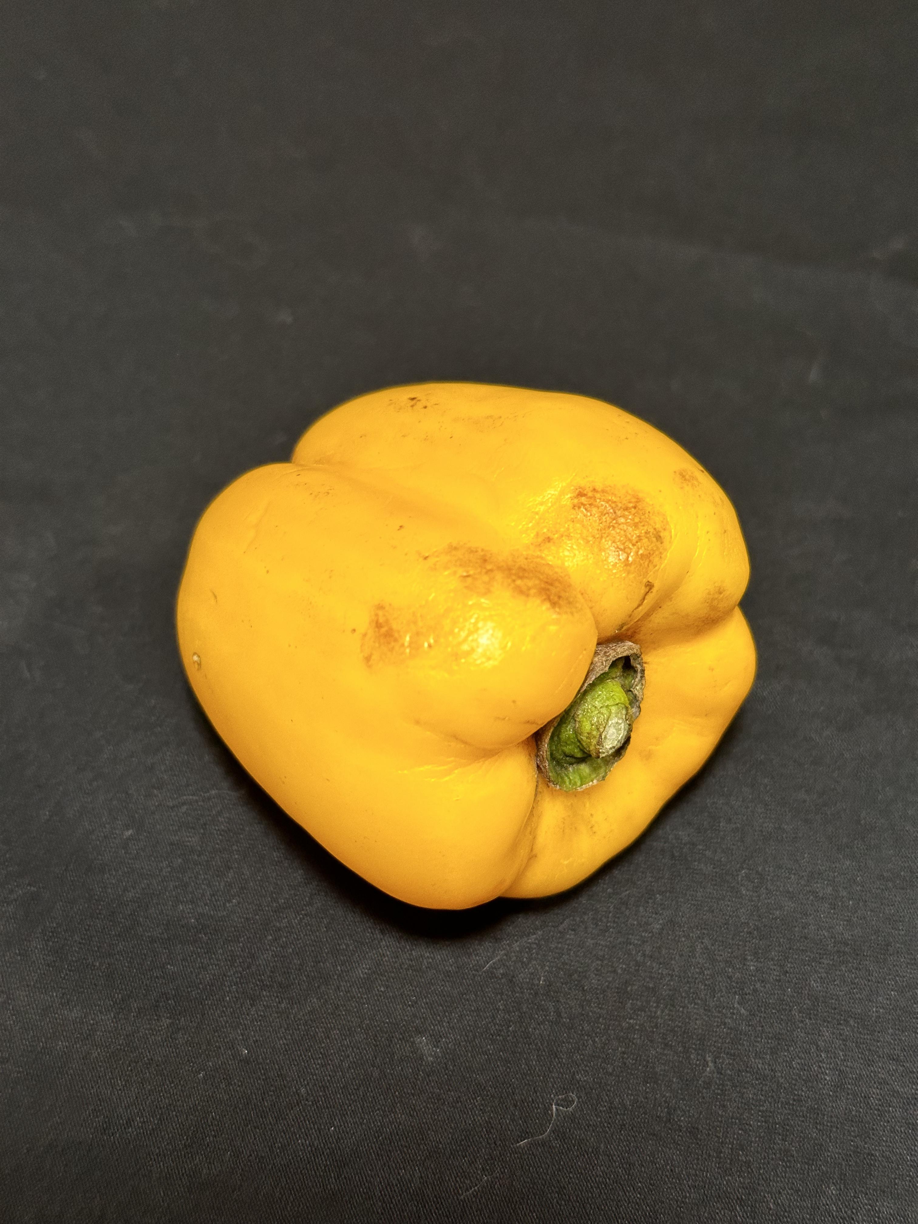 Bell Pepper Object Detection Dataset by BELL