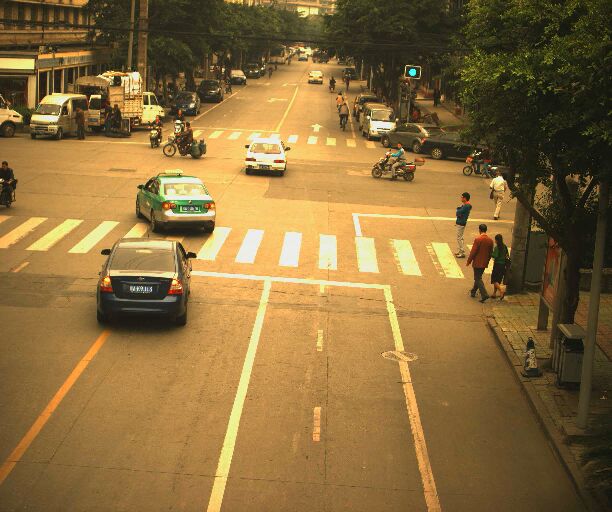 Crossing Road Object Detection Dataset by Public Workspace