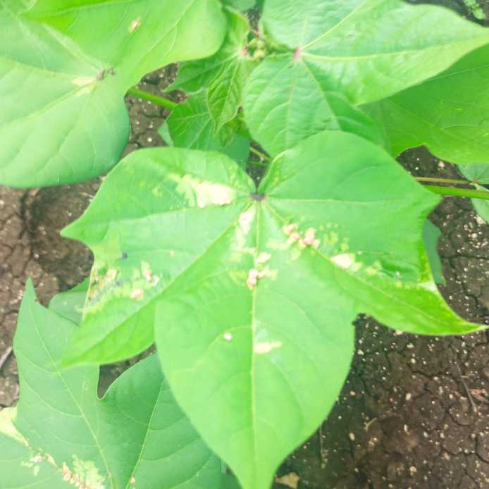 poun - Roboflow Universe