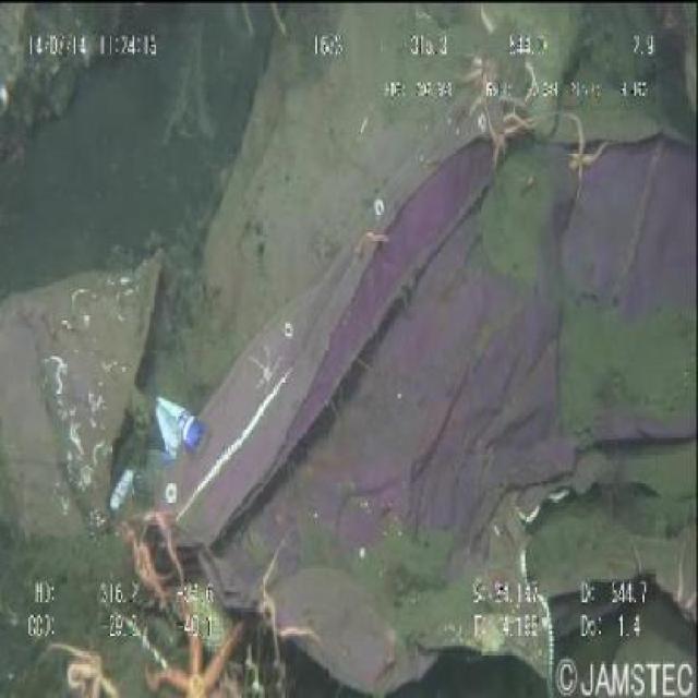Debris Detection Project Roboflow Universe