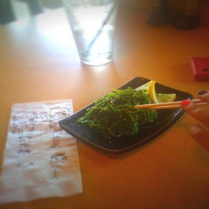 APS360_New Object Detection Dataset by Dylan Araki