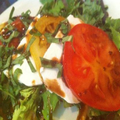 APS360_Salad Object Detection Dataset by Dylan Araki