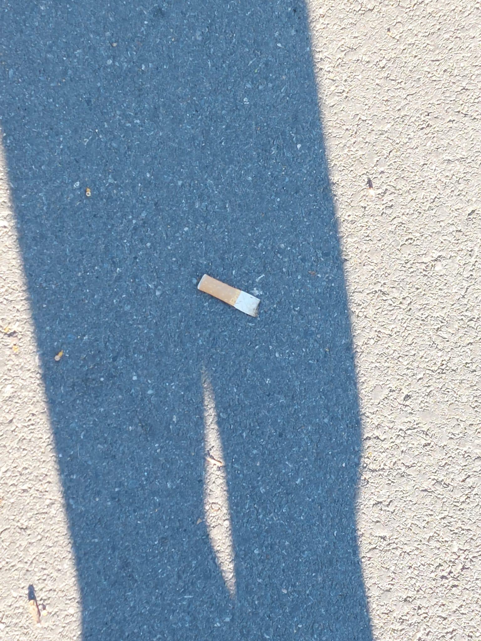 Cigarette detection Object Detection Dataset and Pre-Trained Model by nix Cigarette detection Object Detection Dataset and Pre-Trained Model by nix