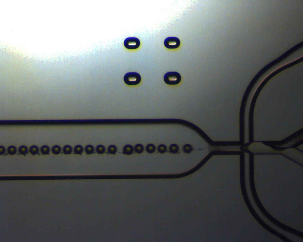Yolov8_v1 Instance Segmentation Dataset by cuhk
