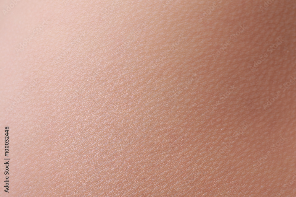 Skin Instance Segmentation Dataset by Thesis