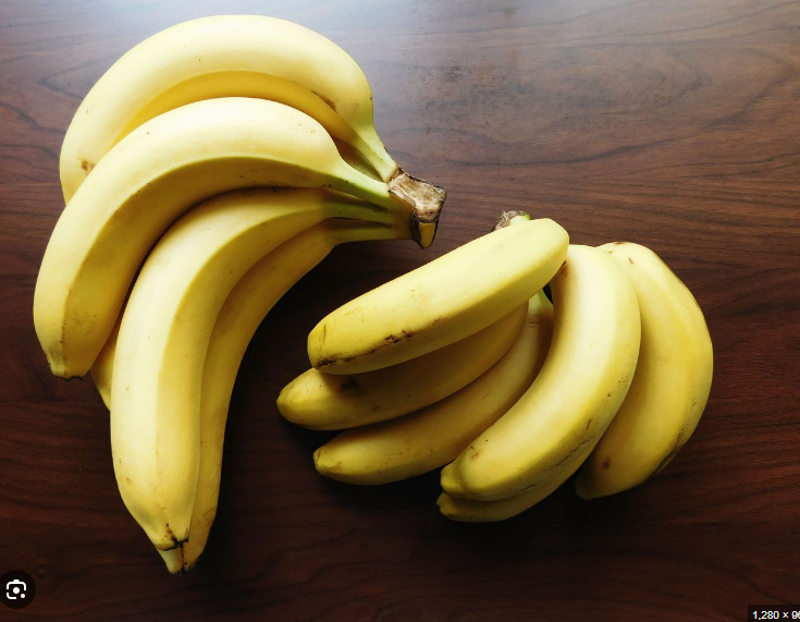 fruit Classification Dataset by work