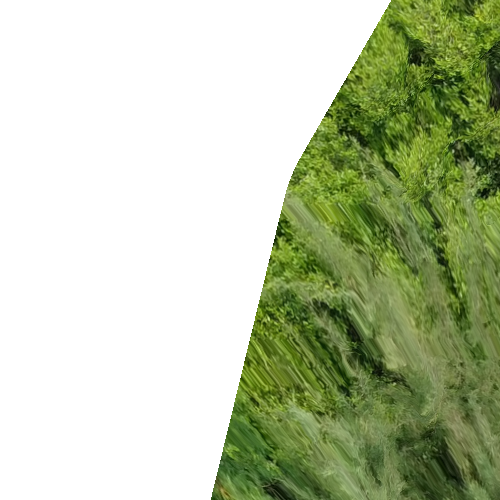 mangrove forest tile v2 Instance Segmentation Dataset by thesis