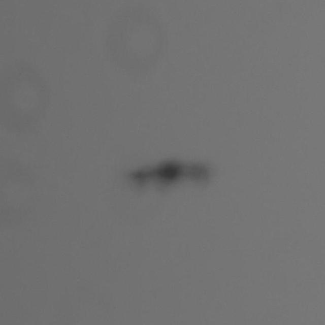 wrj Object Detection Model by roboflow