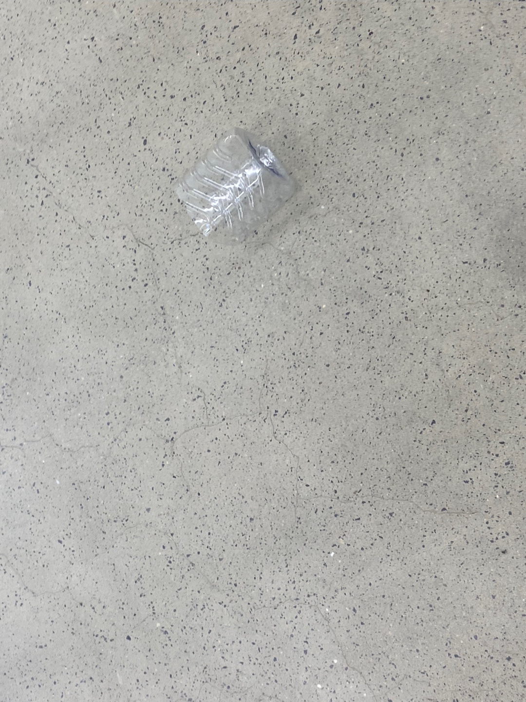 ploga Object Detection Dataset and Pre-Trained Model by coding