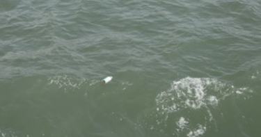 coding (coding-pdahb) - Roboflow Universe