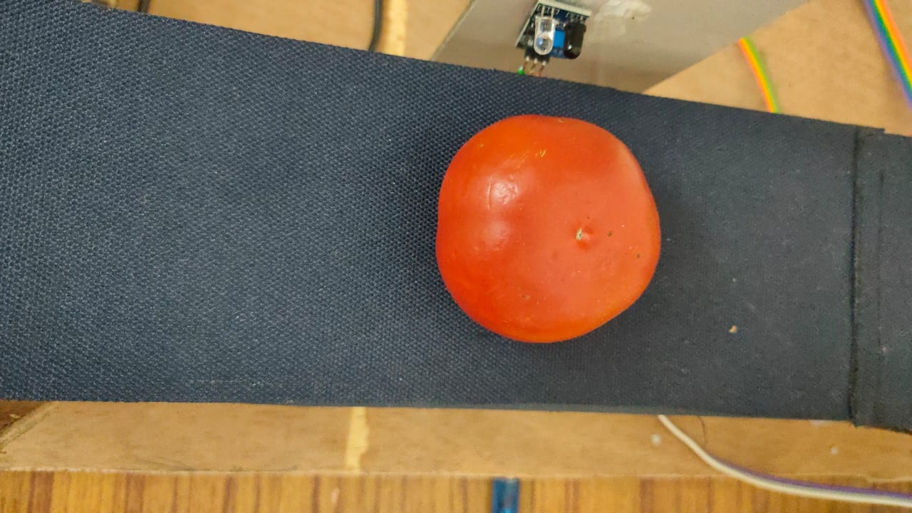 Tomatodetection Object Detection Dataset By Pranjalproject