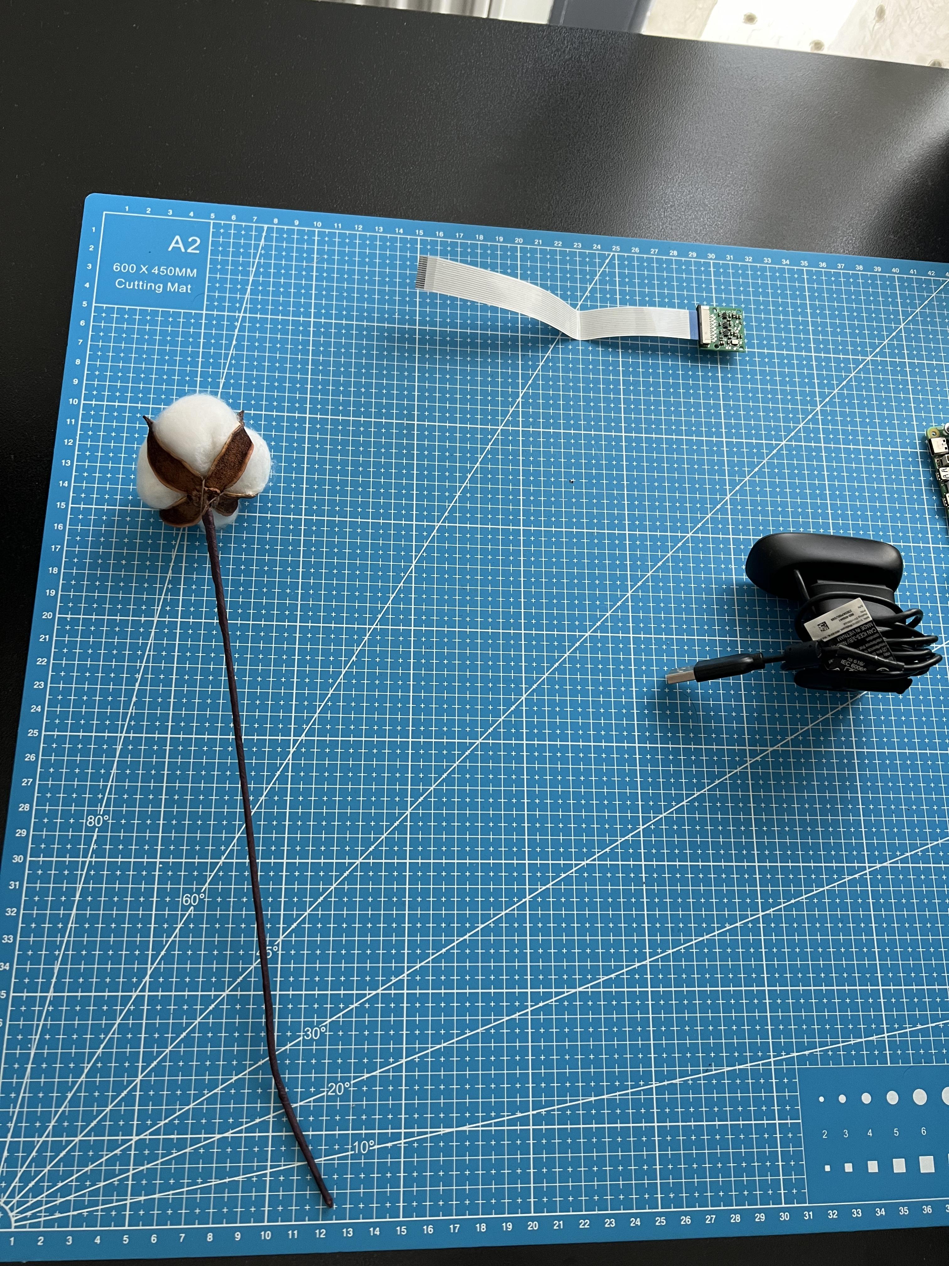 Cotton and Rose Object Detection Dataset and Pre-Trained Model by YOLO