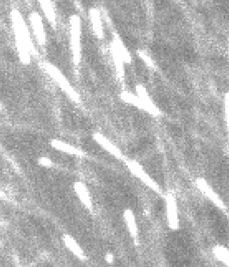 comet Object Detection Model by cometproject