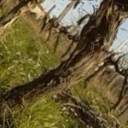 SemiSupervised vine-trunk segmentation Semantic Segmentation Dataset by PROJEKT