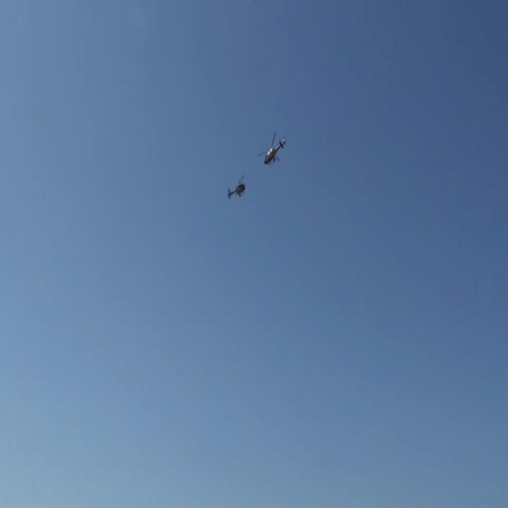 Palm Oil Object Detection Dataset By Palm