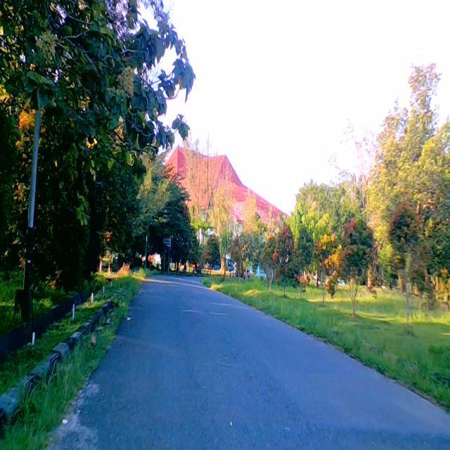 Road Instance Segmentation Dataset by Road Detection