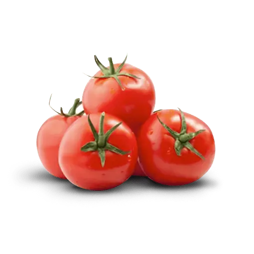 tomato cherry rose Object Detection Dataset and Pre-Trained Model by tangmo