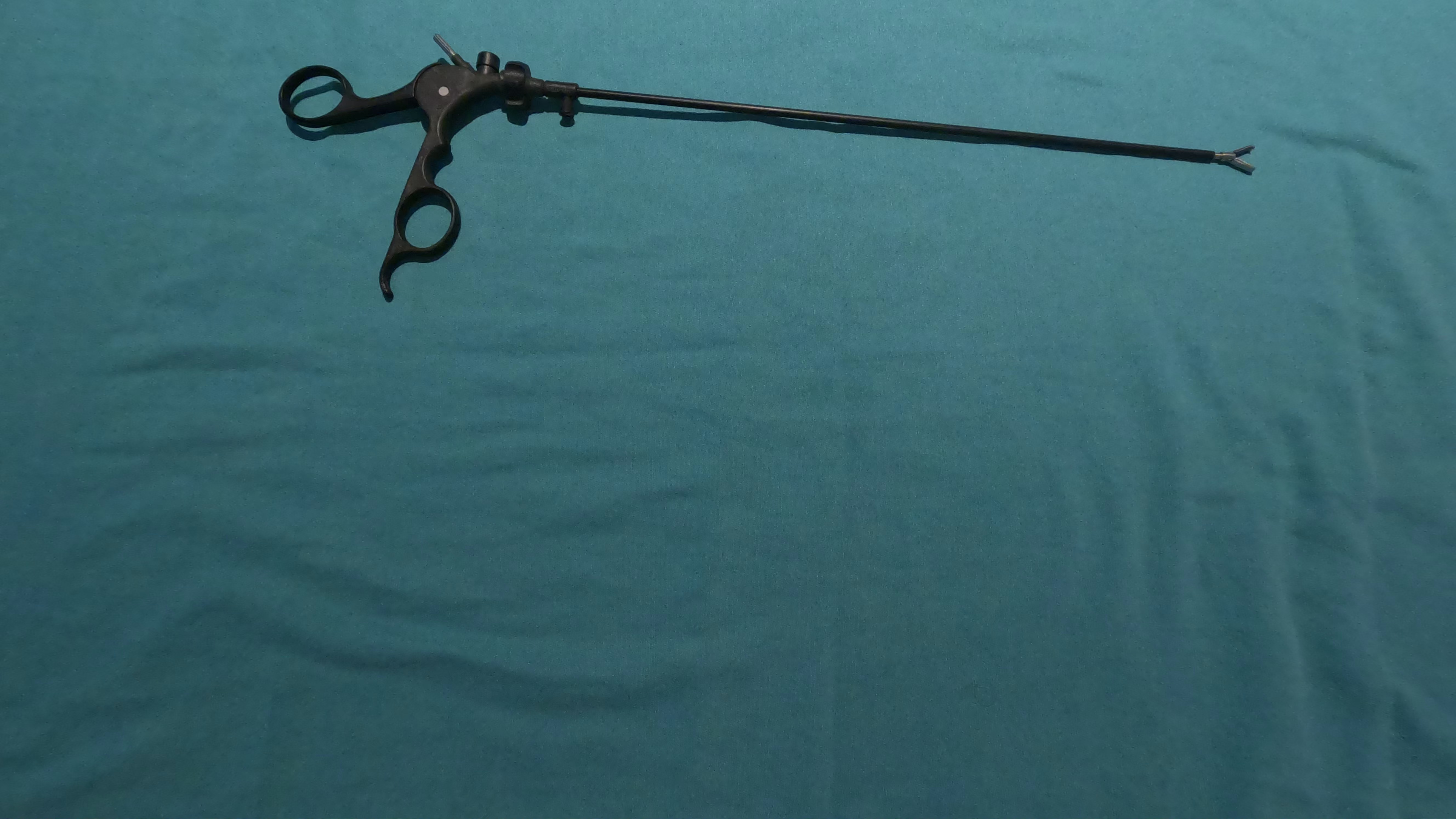 rria - Roboflow Universe