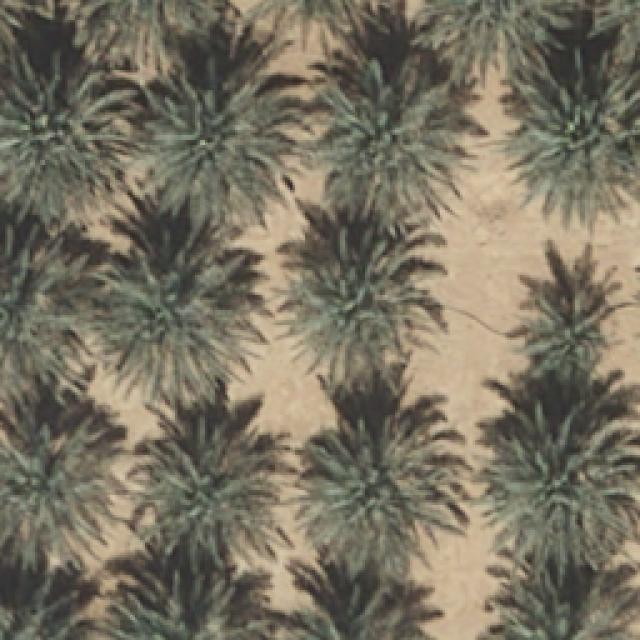 OZANDATASETPALM Semantic Segmentation Dataset by Trees