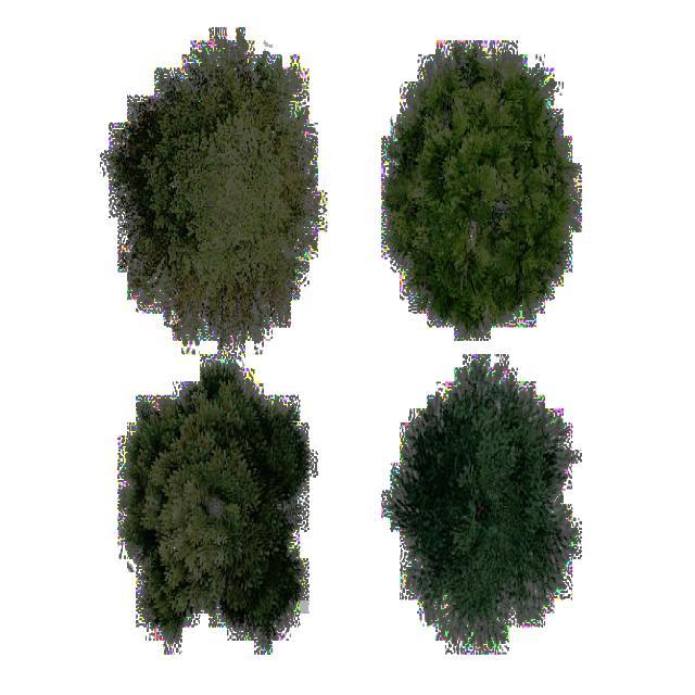 Clean Dataset Object Detection Dataset And Pre Trained Model By Rocio L