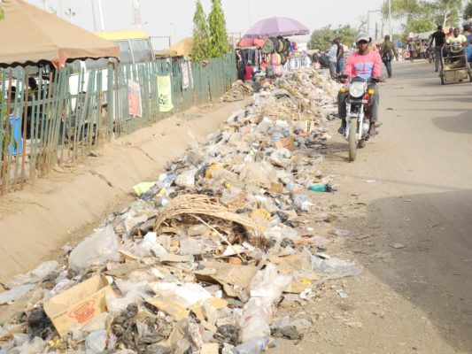 aggra Object Detection Model by tcs